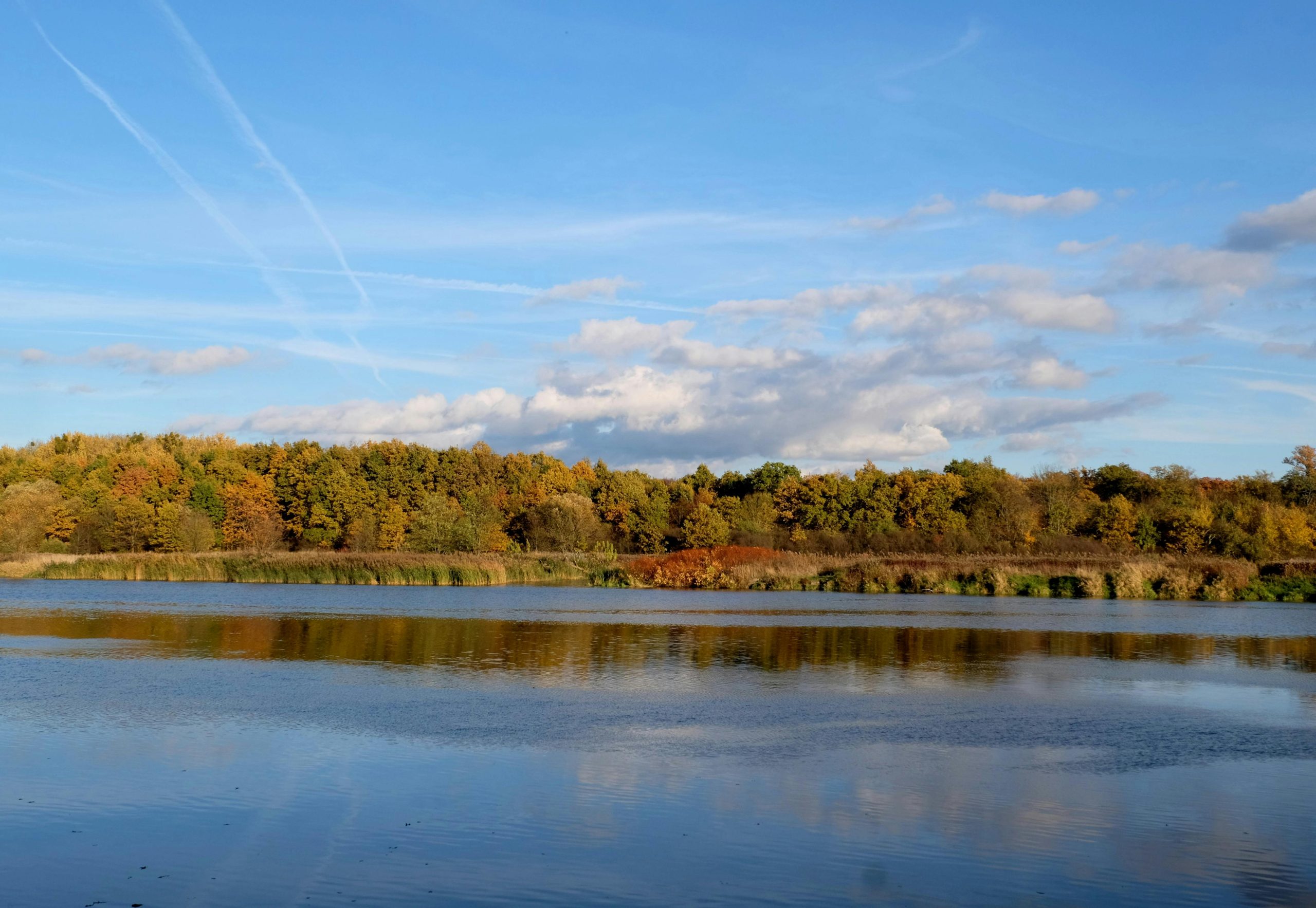 Mars RV Off-Road Caravans: Best 4x4 Camper Guide - America’s Best Value ...