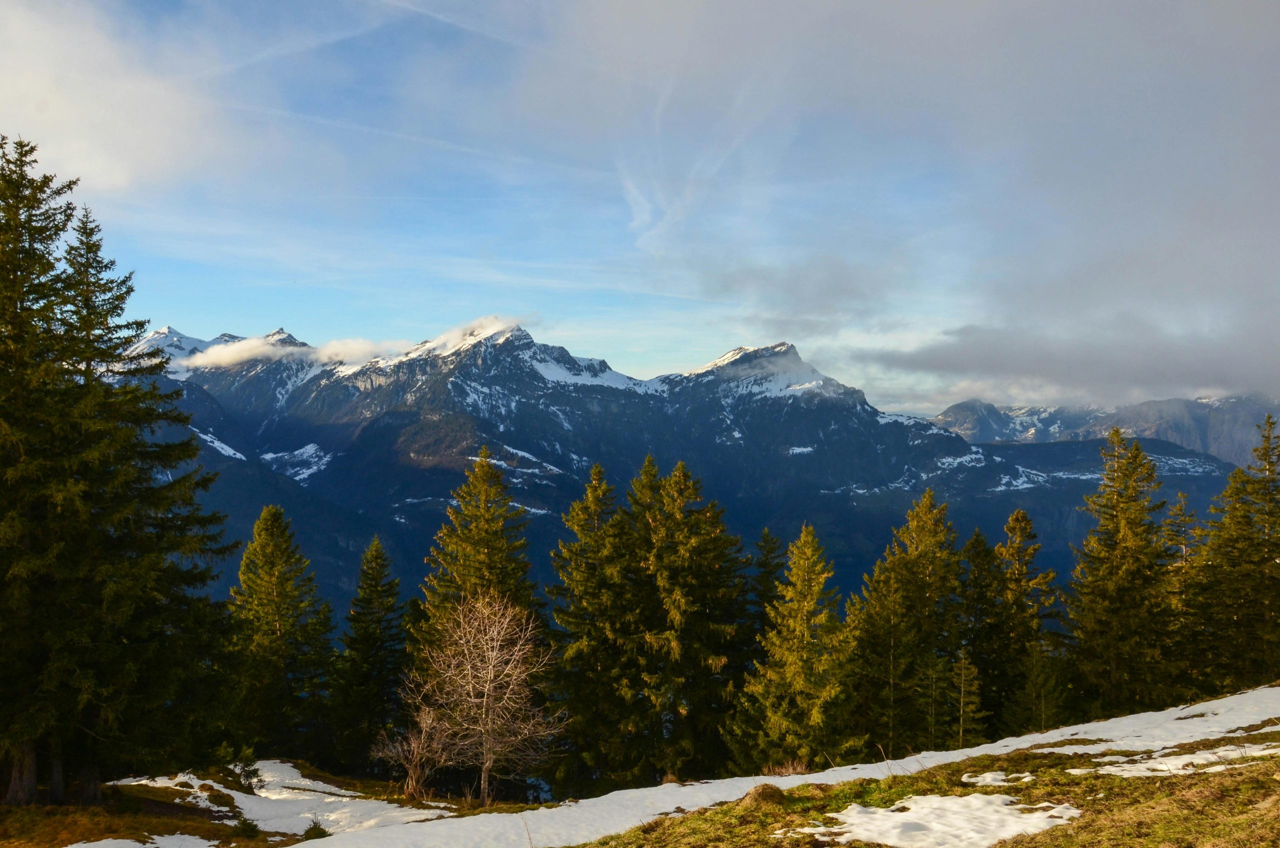 What Are Glamping Trailers? Features, Tips & Trends - America’s Best ...