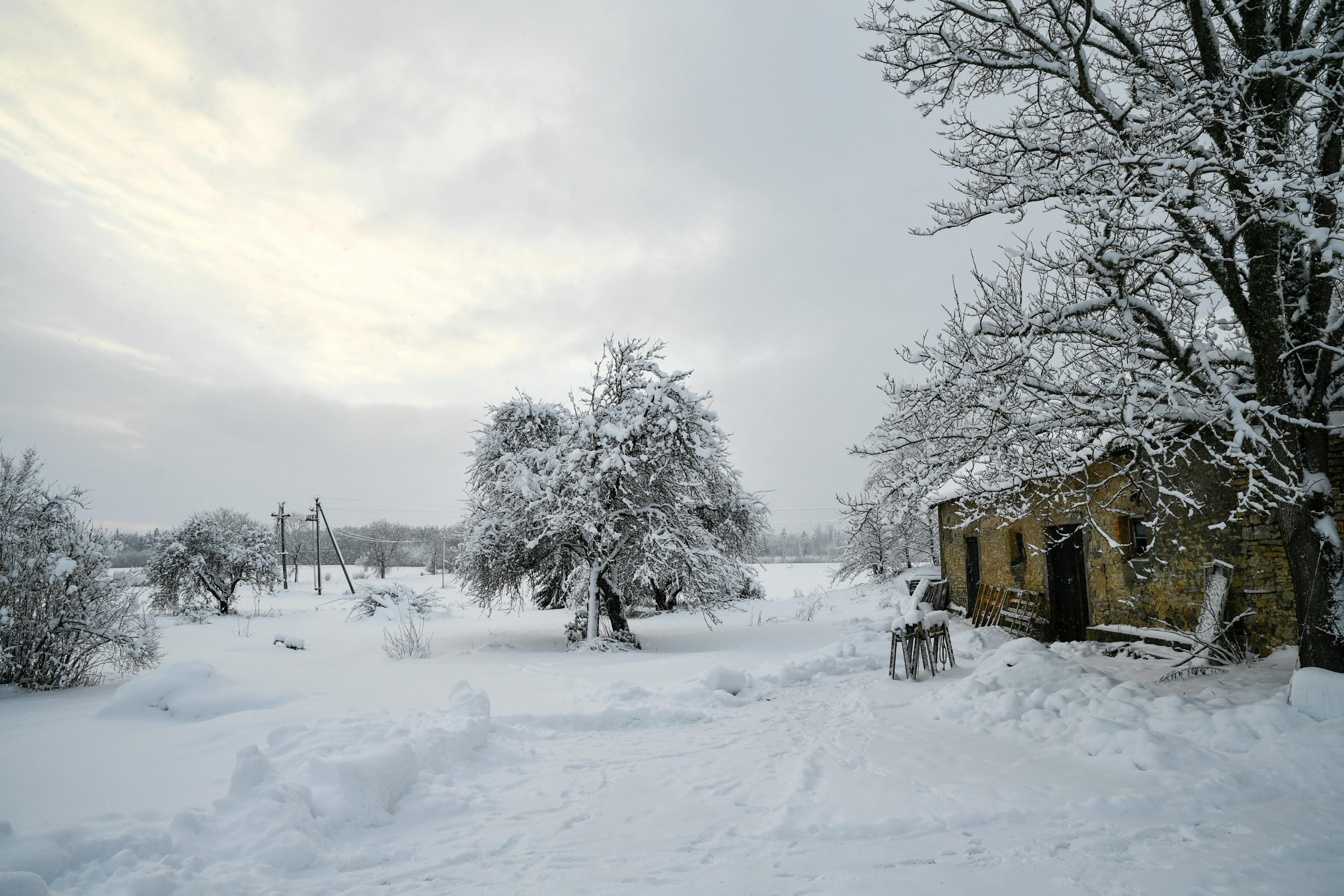 Travel Trailer Setup Guide: Step-by-Step Beginner Tips - America’s Best Value Off Road Rv Brand